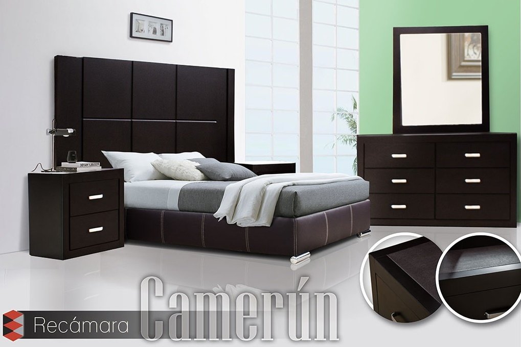RECAMARA CAMERÚN - Endomex